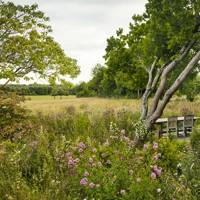 The garden of landscape architects Pip Morrison and Kim Wilkie | House ...