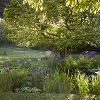 The gardens of Mothecombe House in Devon | House & Garden
