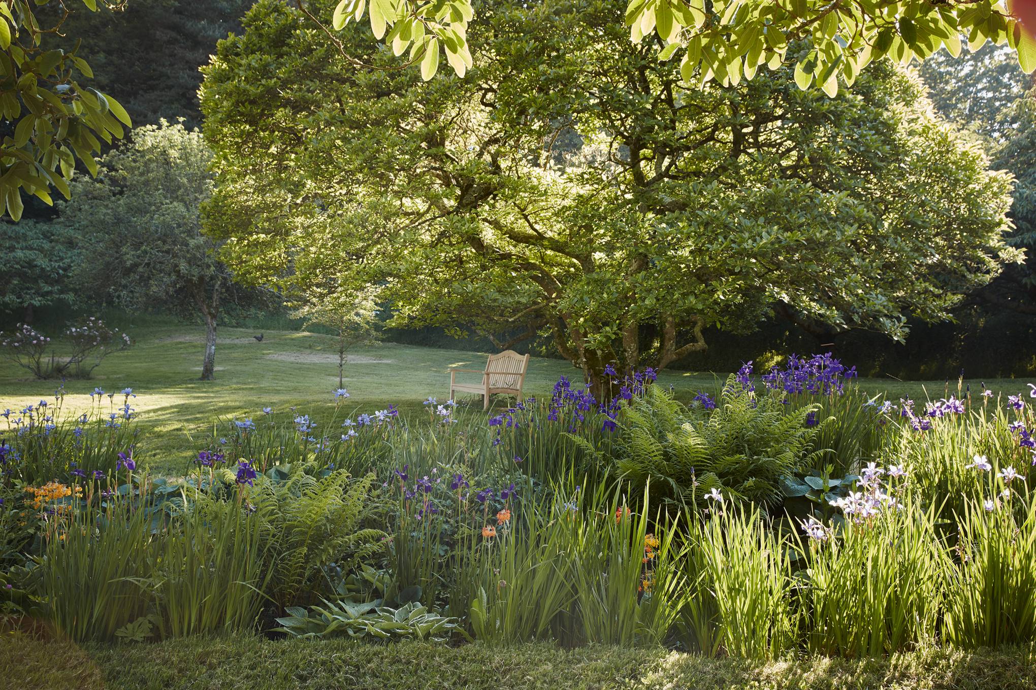 The gardens of Mothecombe House in Devon | House & Garden
