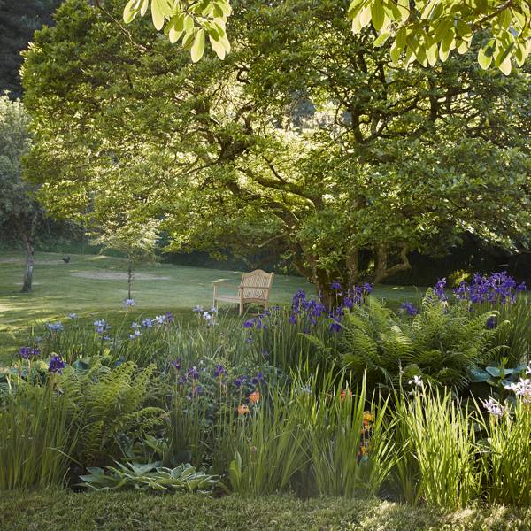 The gardens of Mothecombe House in Devon | House & Garden