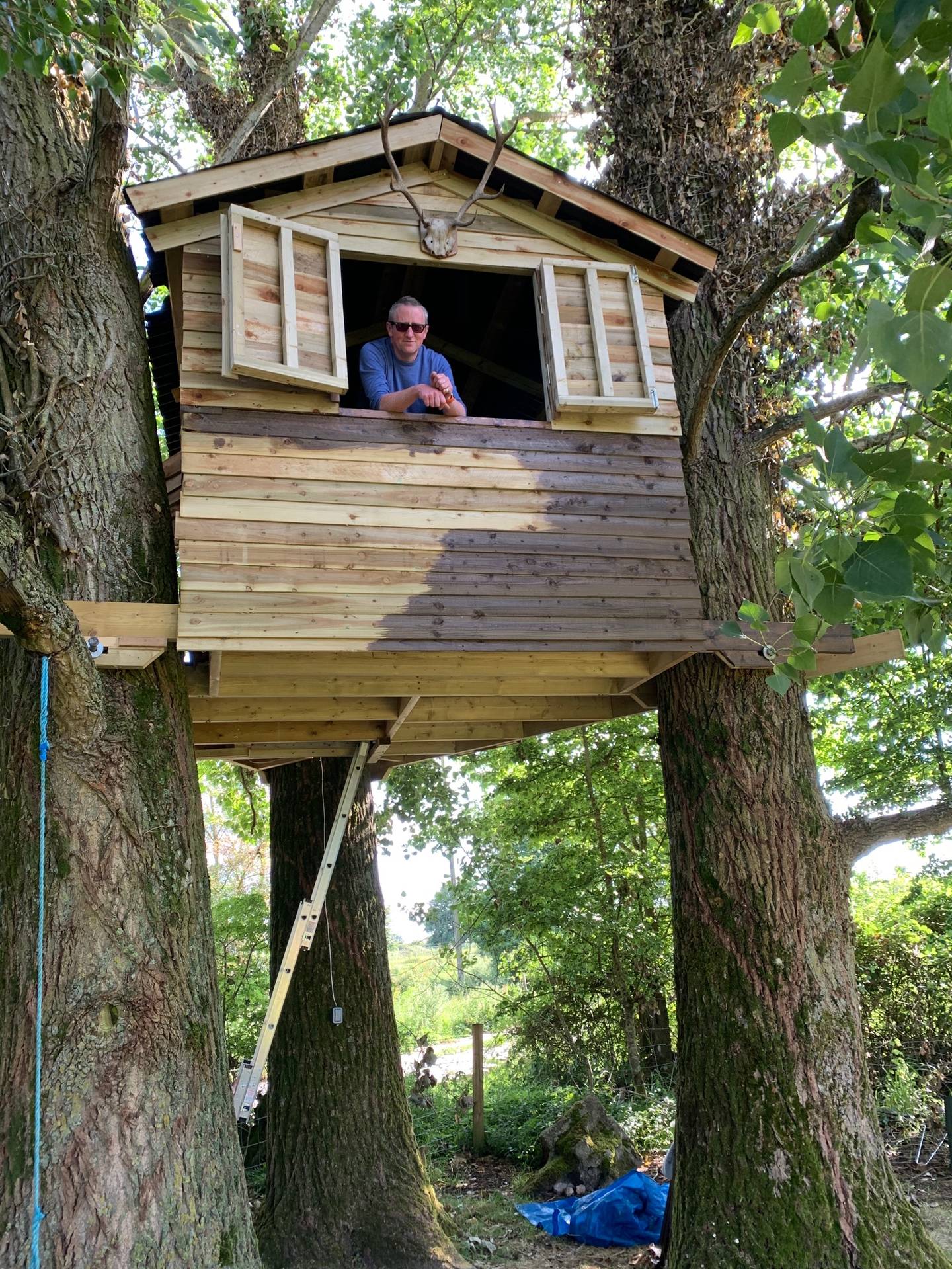 How to build a treehouse | House & Garden