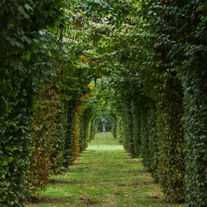 Edward Bulmer Queen Anne Country House | House & Garden
