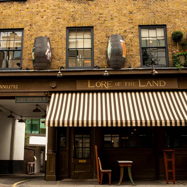 Henrietta Courtauld The Land Gardeners London Home remodelling ...